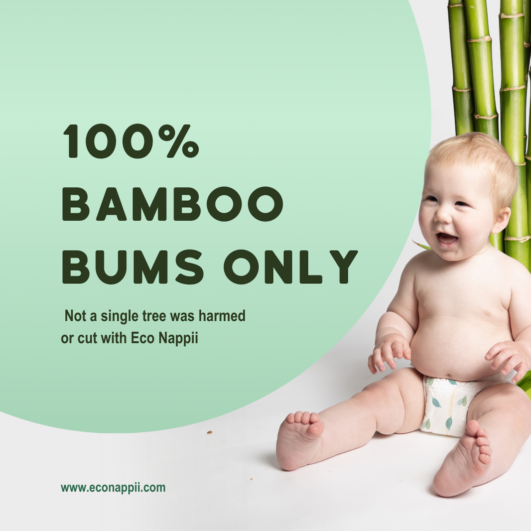 Eco Nappii Diapers - Nature's Touch for Your Little One | Shop Now
